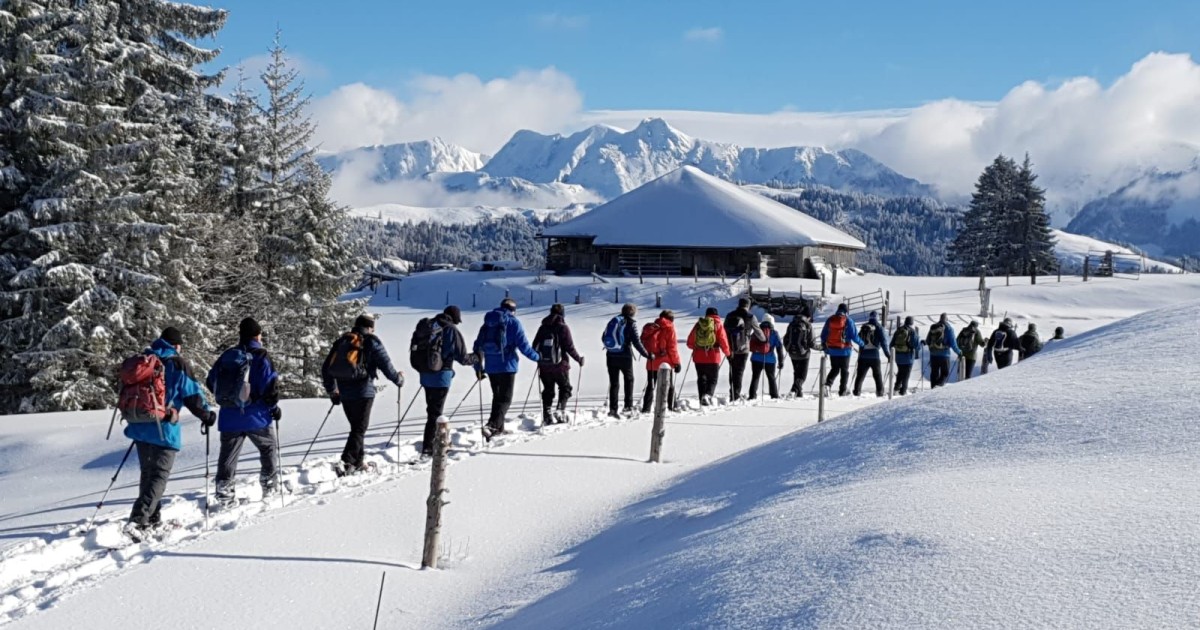 Die Bildergalerie zum Winter • Fribourg Rando